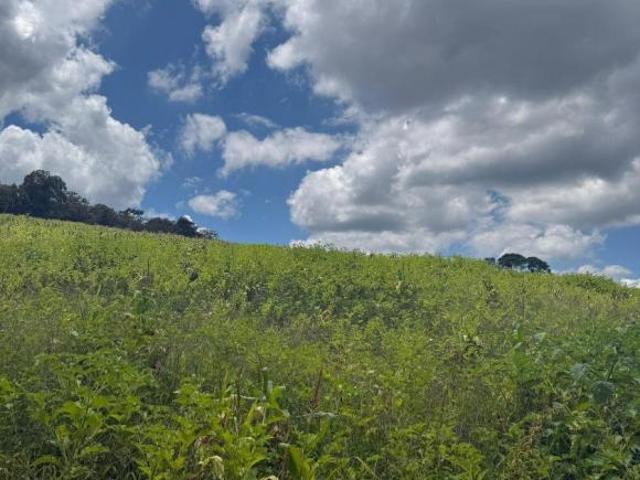 Terrenos a partir de 500 m²