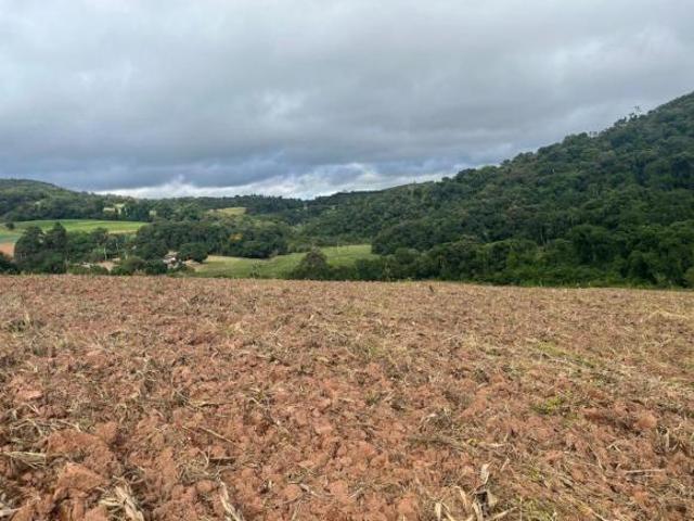 Terrenos a partir de 500 m² no bairro Ressaca, em Ibiúna