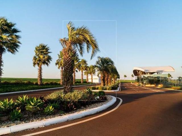 Terrenos à venda no Colinas Golfe Residence em Cascavel