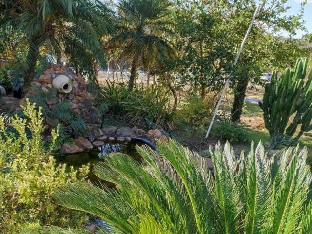 Terrenos à venda no Jardim Botânico Com Linda Vista de Frente Para a Natureza!