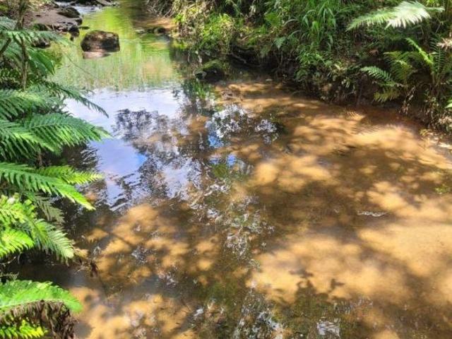 Terrenos à venda em meio à natureza – o lugar perfeito para o seu refúgio!