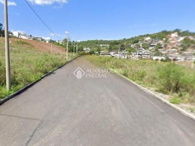 Terrenos a venda em Caxias do Sul