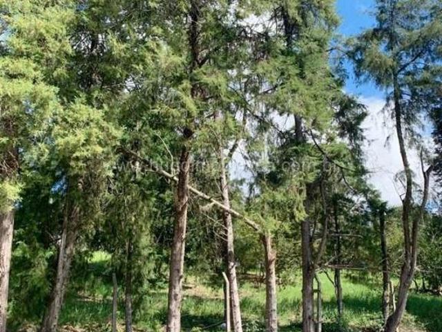 Terrenos à venda em São José dos Campos SP, 4 lotes no bairro Chácaras Pousada do Vale
