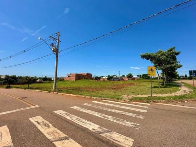Terrenos à venda, idel para construção de prédop, em um dos bairros mais desejados da cidade o Port