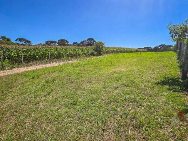 Terrenos a Venda