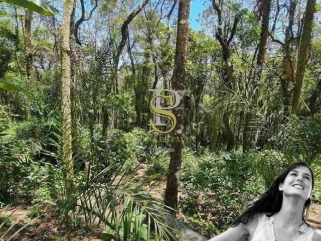 Terrenos À Venda 1.000 m² Mato Dentro Mairiporã/SP