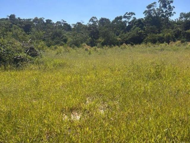 TERRENOS Á VENDA 1.000M² COM ACESSO PELA CASTELO