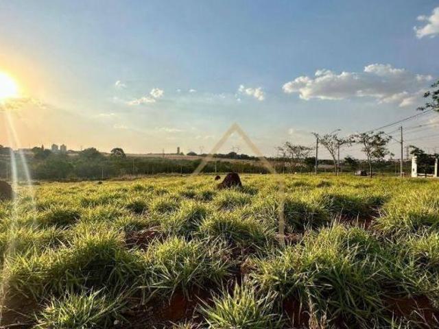 Terrenos à venda, 2442 m² Dodson Santa Bárbara D&apos Oeste/SP