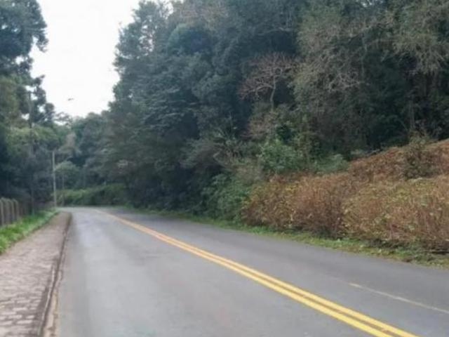 Terrenos Amplos na Rua Mato Grosso Potencial para Condomínios e Investimento