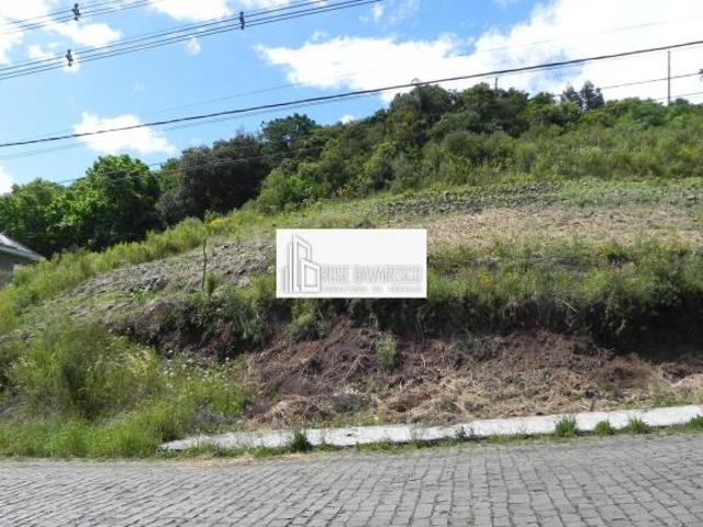 TERRENOS BEM LOCALIZADO B. SANTA RITA!