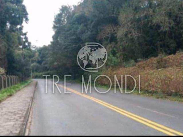 TERRENOS BEM LOCALIZADOS CAMPO LARGO