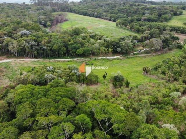Terrenos com 20 mil metros, ideais para morar ou construir chácaras