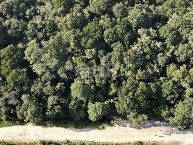 Terrenos com área total de 24.000 m² Balneário G