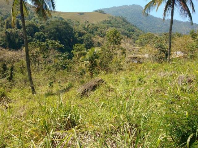 Terrenos com escritura definitiva em Ilhabela
