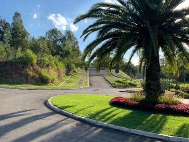 Terreno com 1080 m², Santa Isabel