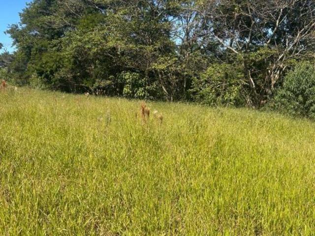 Terrenos de 500m² em Ibiúna