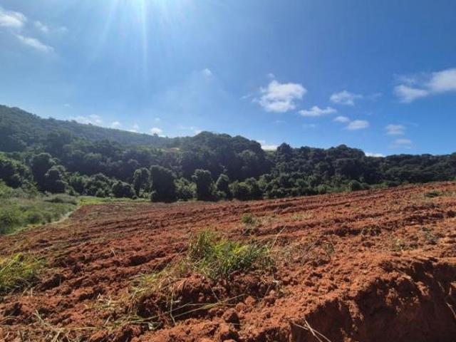 Terrenos de 1.000m² para construir sua chácara