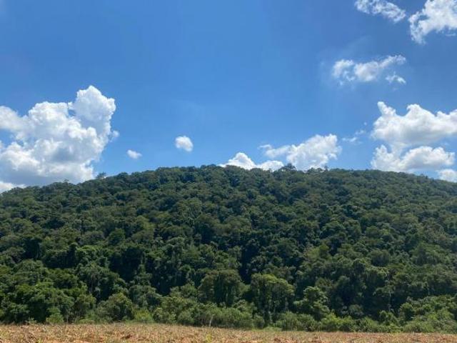TERRENOS DISPONIVEIS IBIÚNA