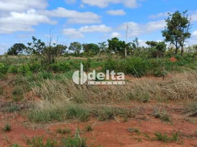 Terrenos disponível para venda no bairro Laranjeiras em Uberlândia MG