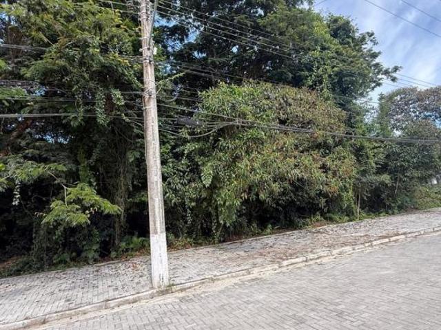 Terrenos Em Boraceia Localização Privilegiada
