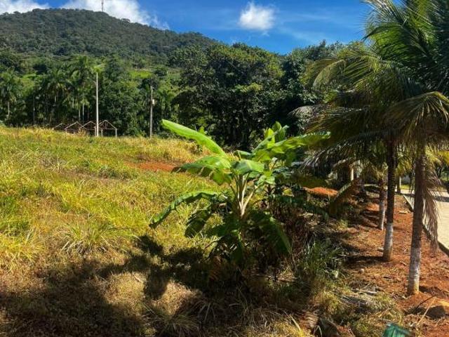 TERRENOS – PANORAMA | CARANGOLA/MG