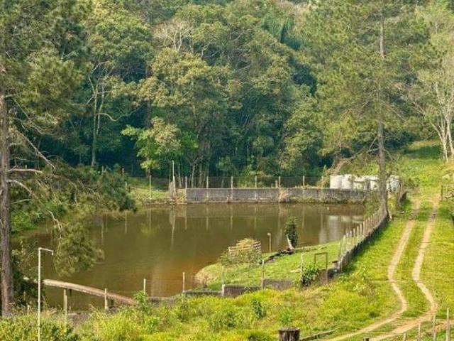 TERRENOS EM IBIÚNA COM ÓTIMA LOCALIZAÇÃO A APENAS 20 MINUTOS DO CENTRO