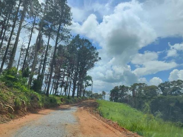 Terrenos em Ibiúna com entrada facilitada