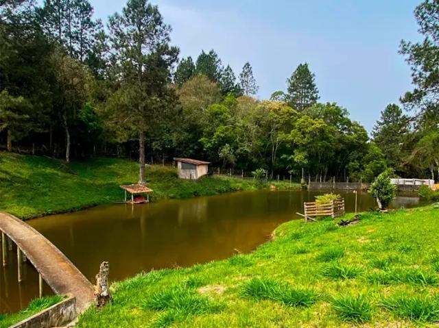 TERRENOS EM IBIÚNA SP | Oportunidade diferenciada nesta quinzena