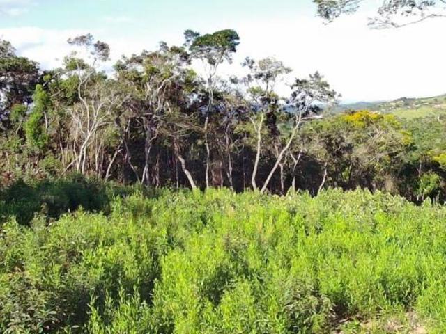 Terrenos em São Roque: A Cidade que Mais Cresce e Valoriza no Interior de SP!Dentro da Rota do vinho