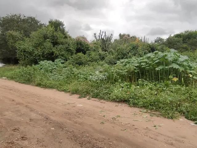 Terrenos fora de condomínio a venda em Gravatá/PE!
