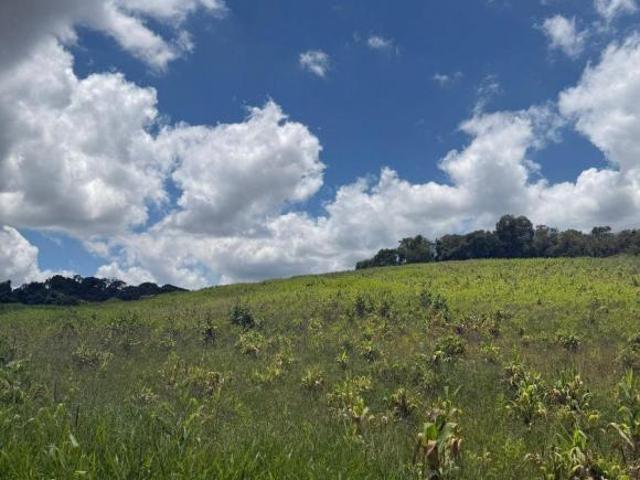 Terrenos ideais para investir ou planejar o futuro