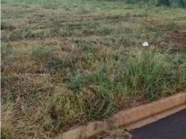Terrenos LoteTerreno em Jardinópolis
