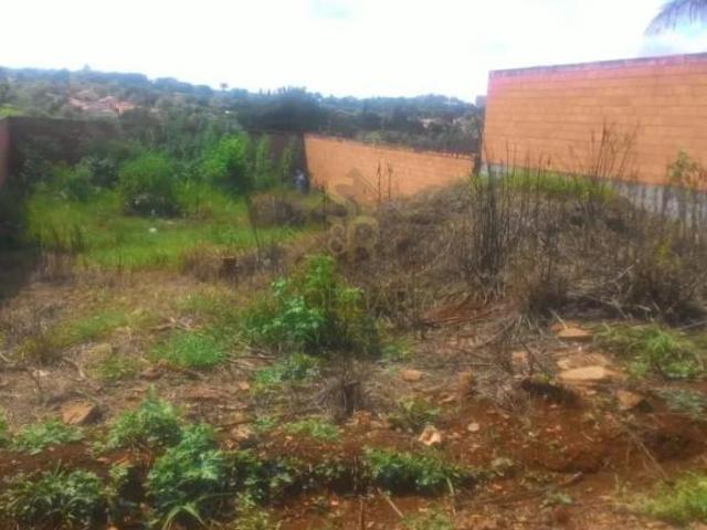 Terrenos LoteTerreno em Ribeirão Preto