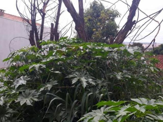 Terrenos LoteTerreno em Ribeirão Preto
