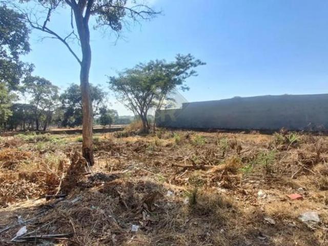 Terrenos LoteTerreno em Ribeirão Preto