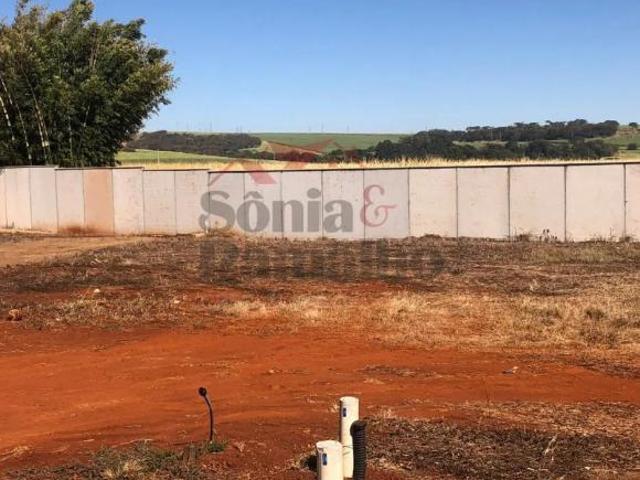 Terrenos LoteTerreno em Ribeirão Preto
