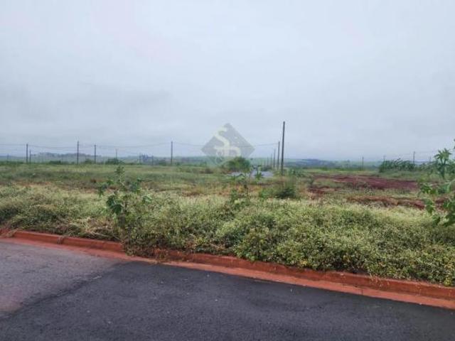 Terrenos LoteTerreno em Ribeirão Preto