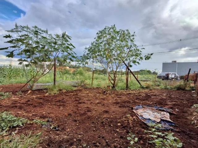 Terrenos LoteTerreno em Ribeirão Preto