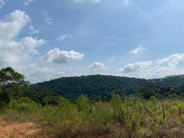 Terrenos na cidade de Ibiúna SP