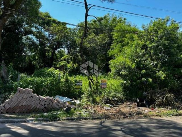 Terrenos no bairro Rondônia com 300m²