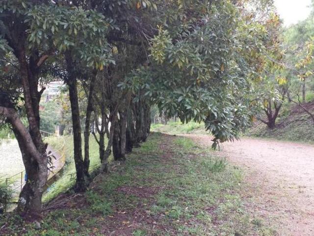 Terrenos Padrão em Poços de Caldas