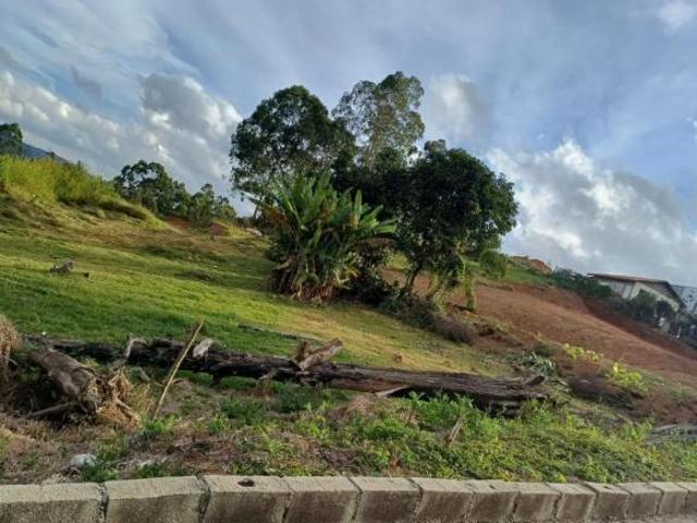 Terrenos Padrão em Poços de Caldas