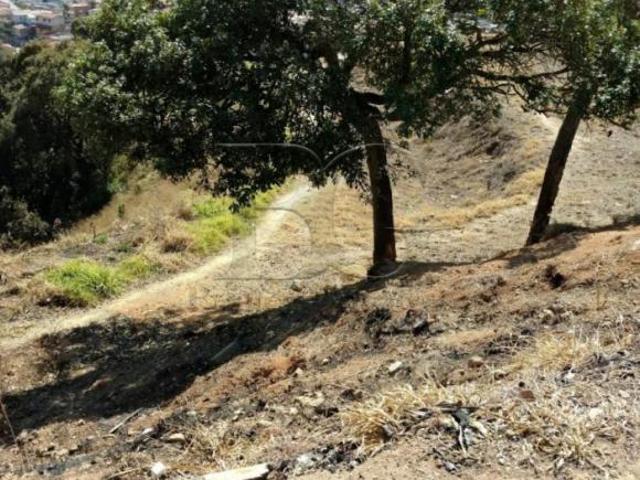 Terrenos Padrão em Poços de Caldas