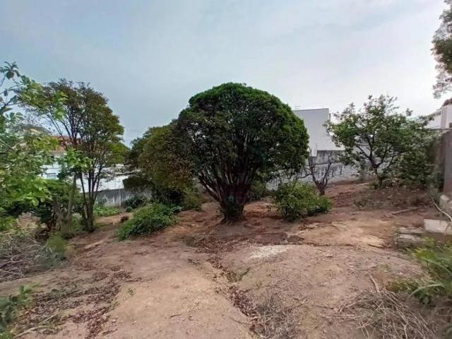 Terrenos Padrão em Poços de Caldas