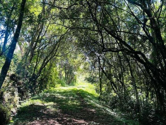 Terrenos para Chácara em Ibiúna | 1630m² | Aceita Veículos