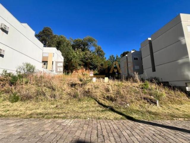 Terrenos para comprar no bairro Vinhedos em Caxias do Sul
