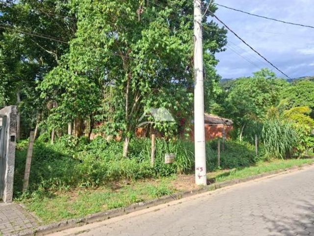 Terrenos planos no Perequê Ilhabela a 800m da praia com escritura definitiva