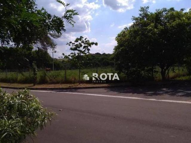 Terrenos planos, prontos para construir, podem ser vendidos juntos ou separadamente