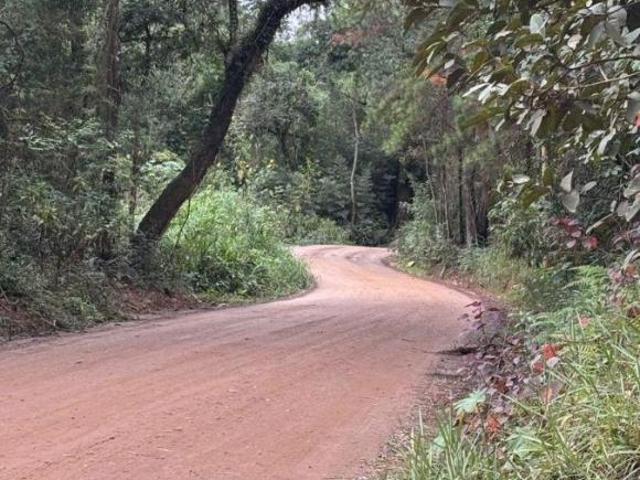 Terrenos Próximos da Raposo Tavares em Condomínio Fechado