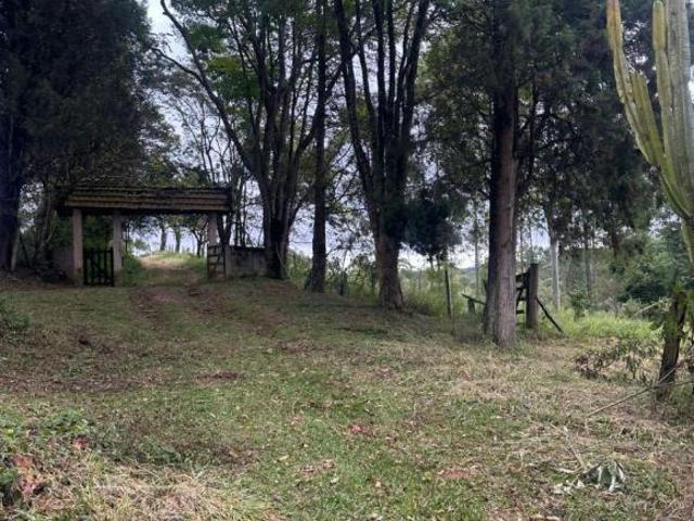 Terrenos Próximos da Rota do Vinho em São Roque